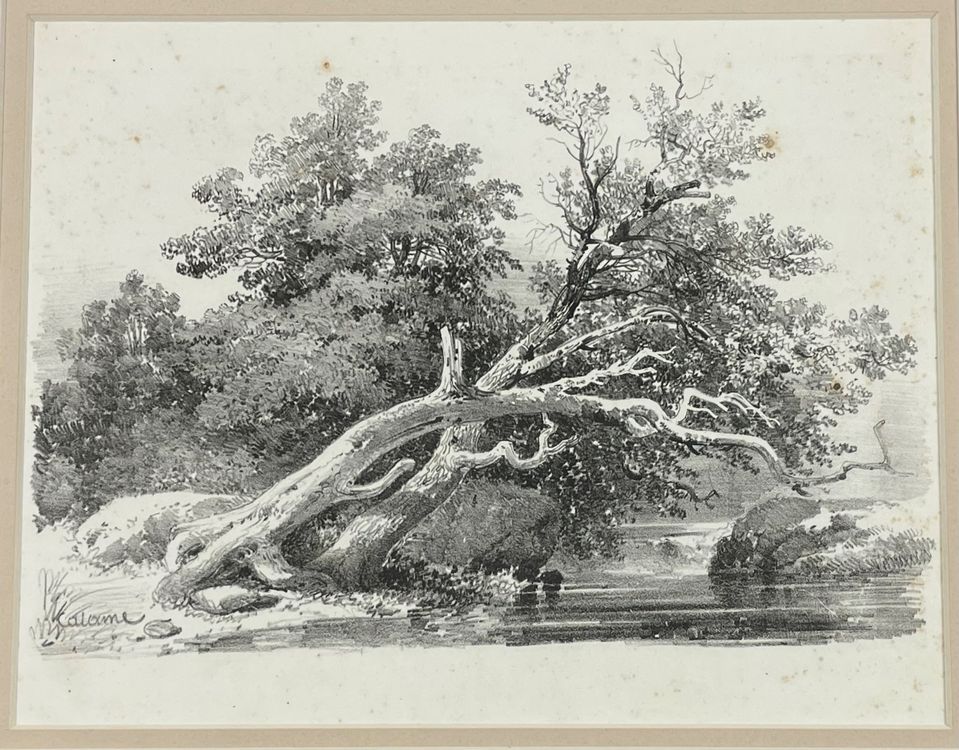 Alexandre Calame (1810-1864) Lithographie (Gebraucht) in Root für CHF ...