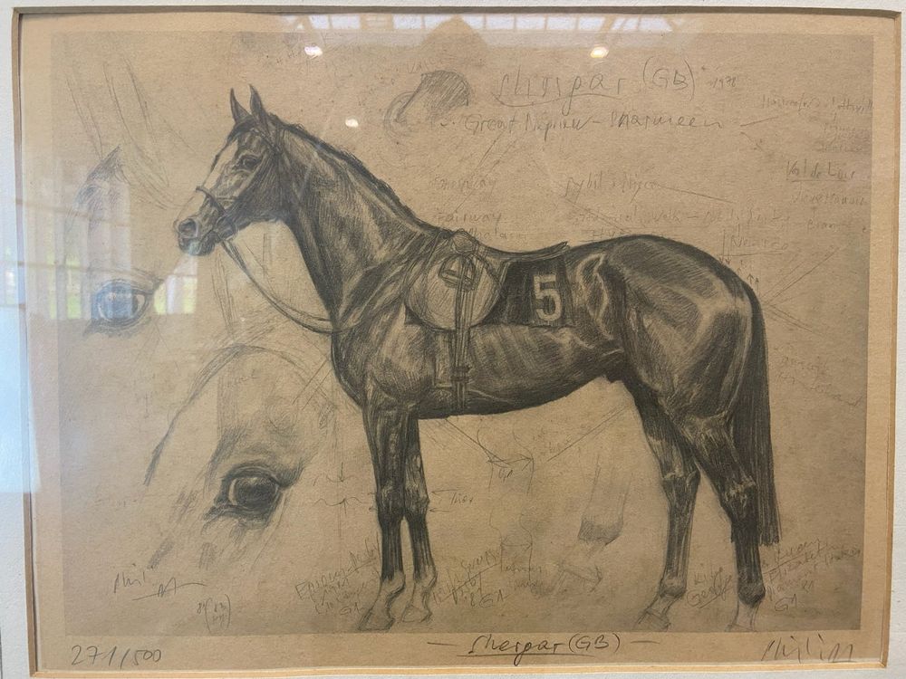 Klaus Philipp, Lithographie, Pferd (Gebraucht) in Zumikon für CHF 36 ...