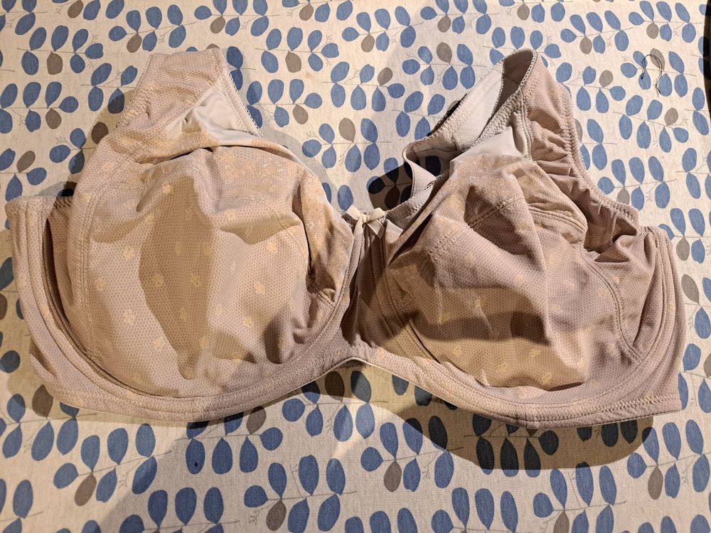 Toller BH, Gr. 100D (Gebraucht) in Oberwil BL für CHF 3 – mit Lieferung ...