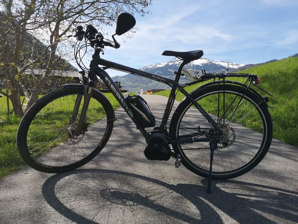 Gepidia Alpion 1000 Speed 45 KM/h (Gebraucht) in Schiers für CHF 598 ...