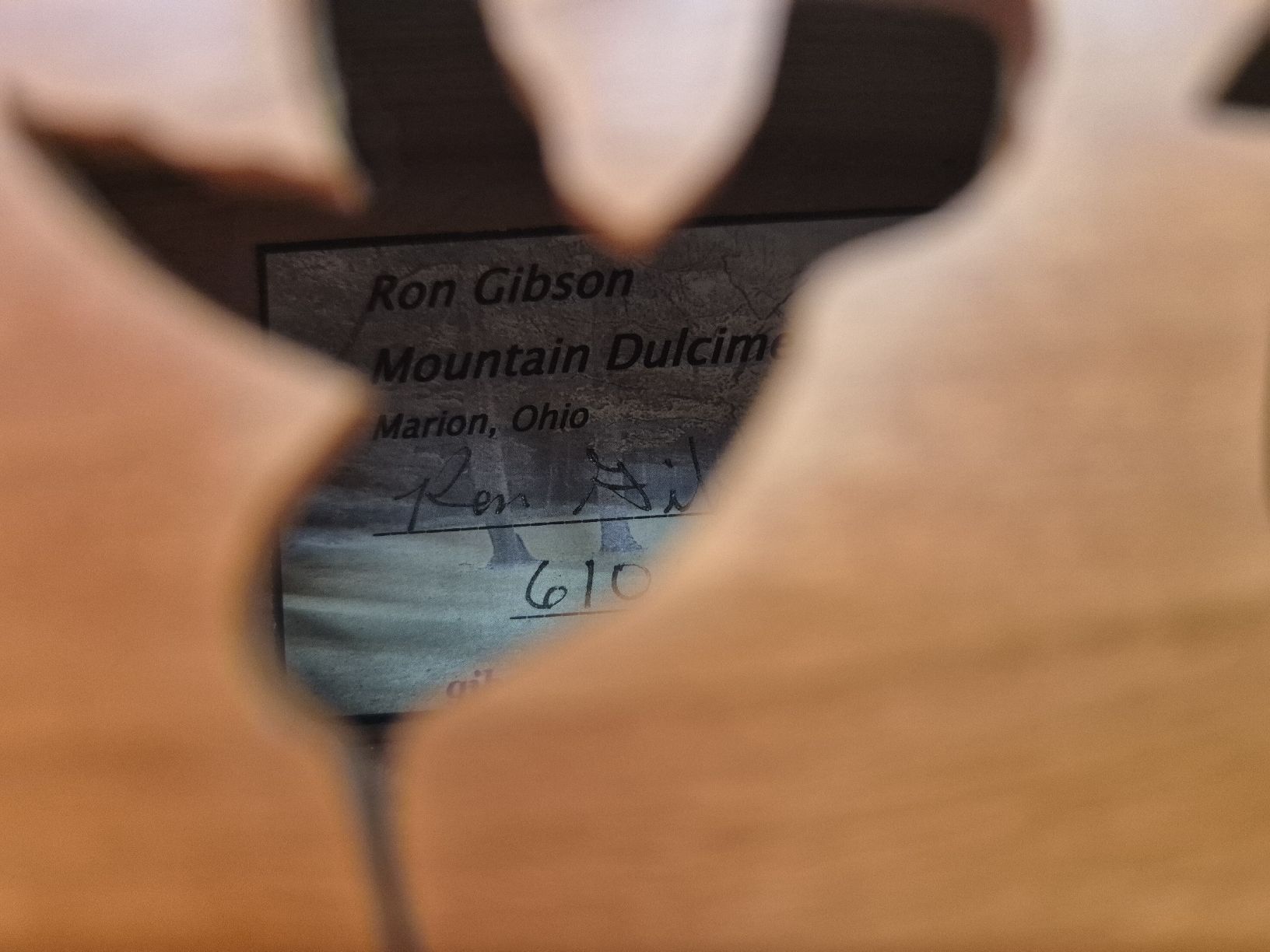 Ron Gibson Mountain Dulcimer (Marion, Ohio) mit Koffer (Gebraucht) in ...