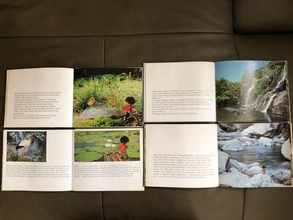 4 Bücher Baski, Heinrich Gohl und Martin Hächler (Gebraucht) in ...