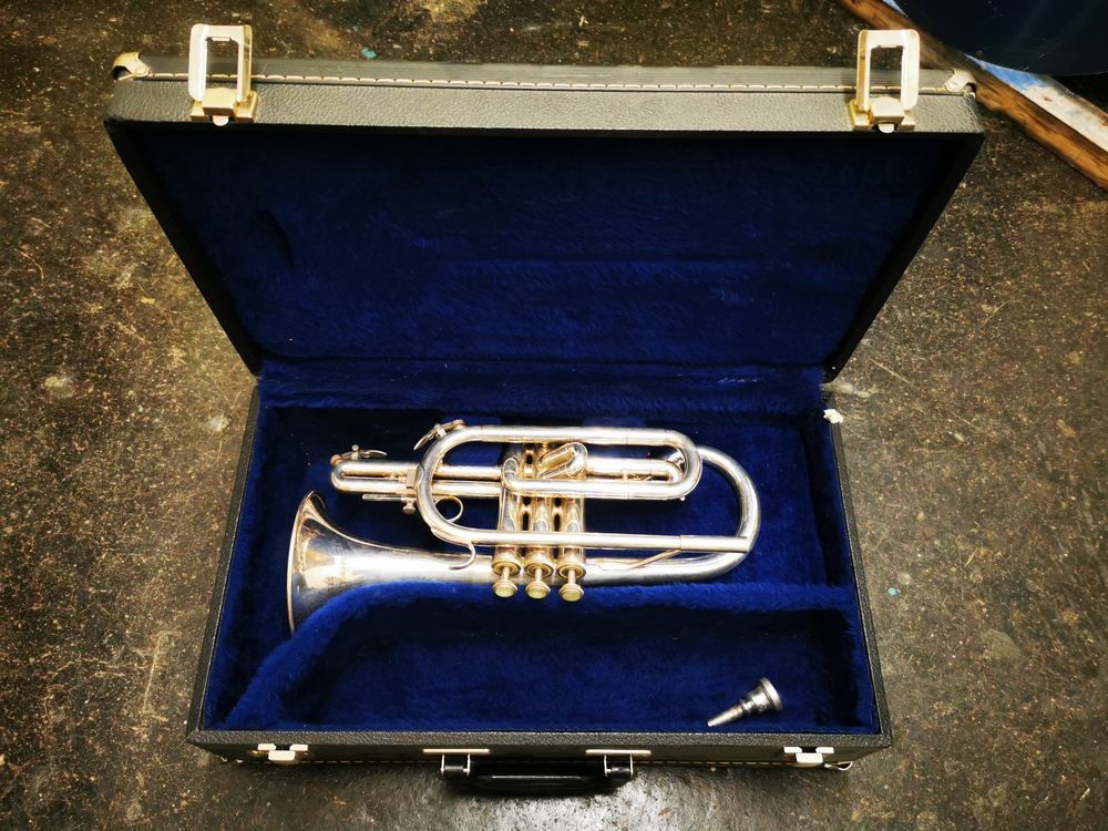 Cornet B Blessing (Defekt) in Süderen für CHF 18 – nur Abholung auf ...