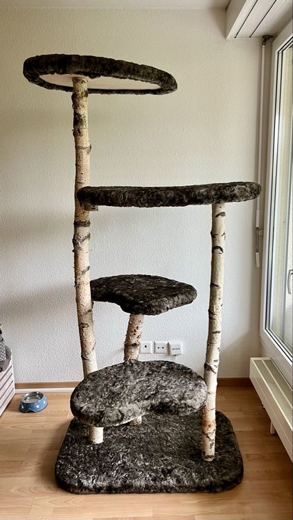 Kratzbaum Aus Birke