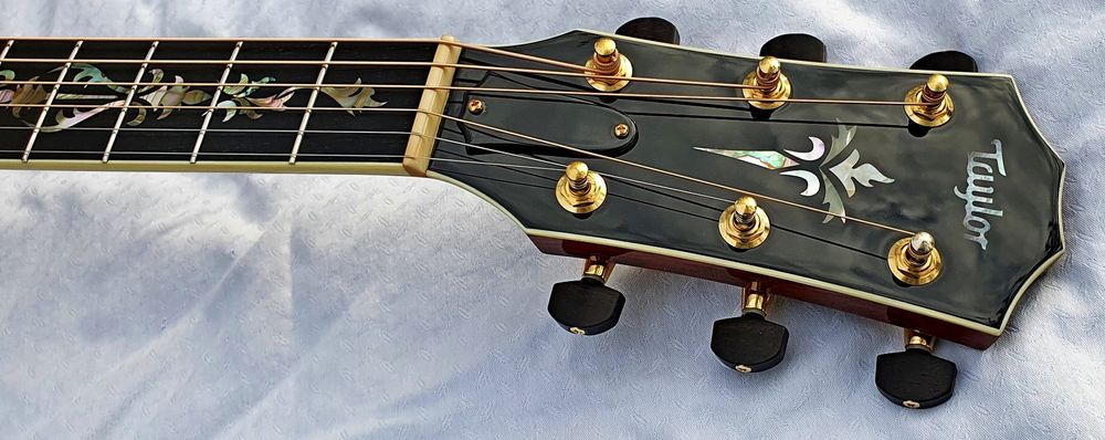 Taylor PS-10 L4 Limited (2003) Cocobolo & Sitka (Gebraucht) in Basel ...