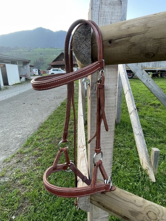 Sidepull Zaum (Gebraucht) in Dallenwil für CHF 30 – mit Lieferung auf ...