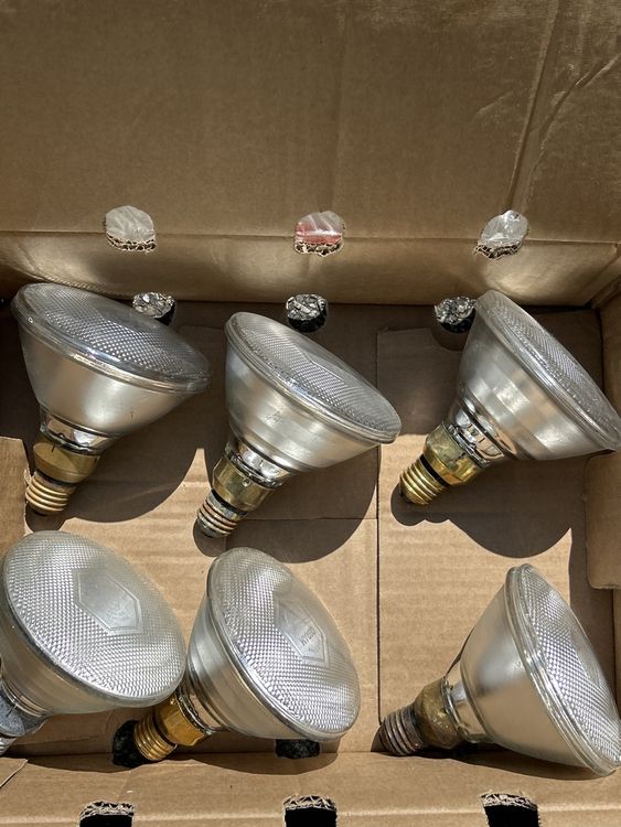 Spot Lampen Osram Concentra, 6 Stk. - ab CHF 1.— (Gebraucht) in ...