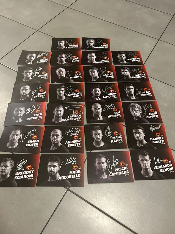 SCB Autogrammkarten Saison Schweizer Meister 2018/19 (Gebraucht) in Busswil BE für CHF 15 – mit ...