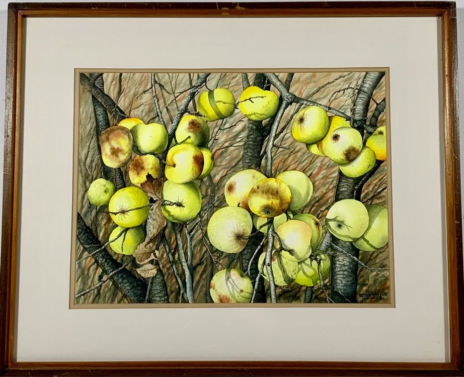 Sandor Attila Tandory (1941) Stilleben Apfelbaum Aquarell (Gebraucht ...