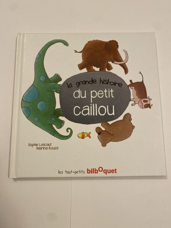 La grande histoire du petit caillou (Gebraucht) in Neuchâtel für CHF 3 ...
