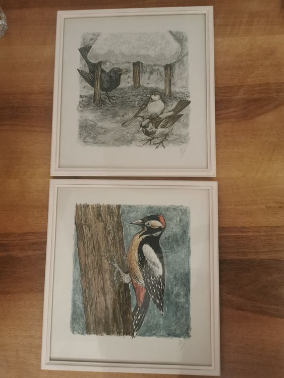 Zwei schöne Lithos Vogelmotive von Alex Walter Diggelmann | Kaufen auf ...