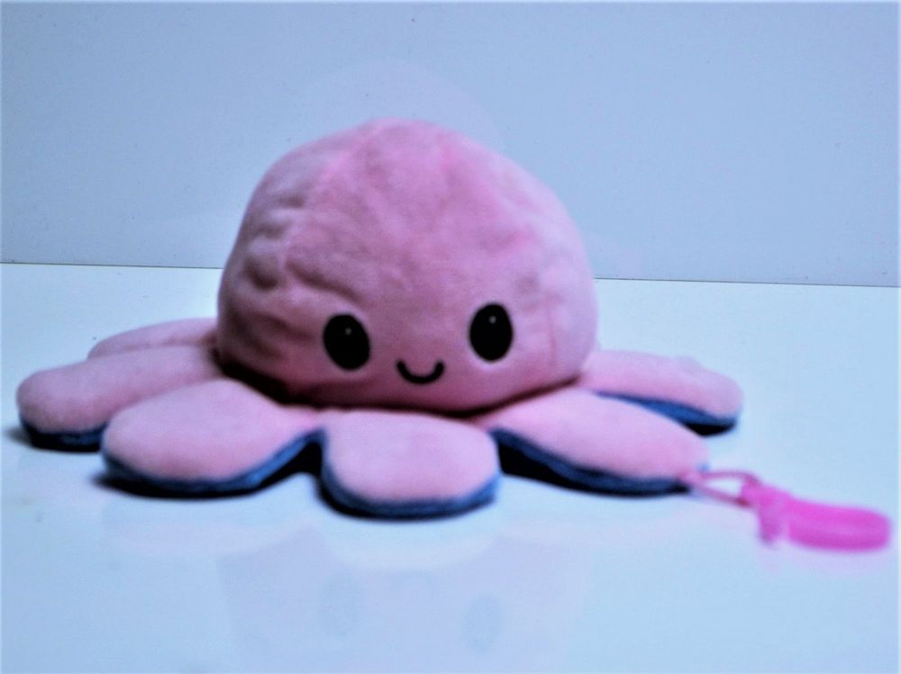 LAURANA | Plüschtier | Wende-Oktopus | Kaufen auf Ricardo
