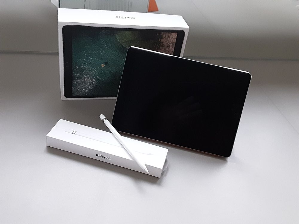 iPad Pro 16.2 (10,5 Zoll) + Pencil + Leder-Cover, ab 1.-- | Kaufen auf Ricardo