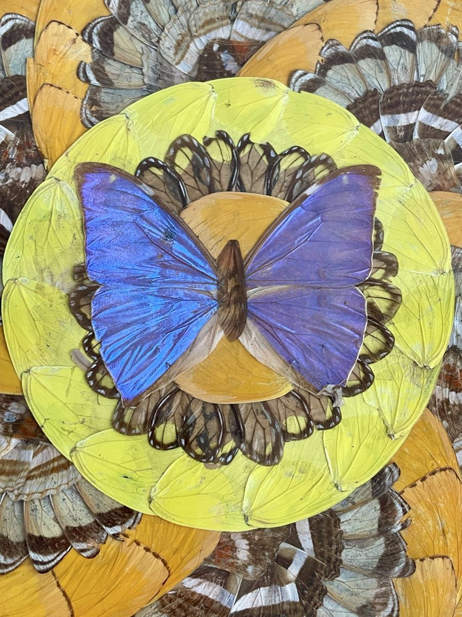 Décoration Murale Vintage avec Vraies ailes de Papillons. (D'occasion ...