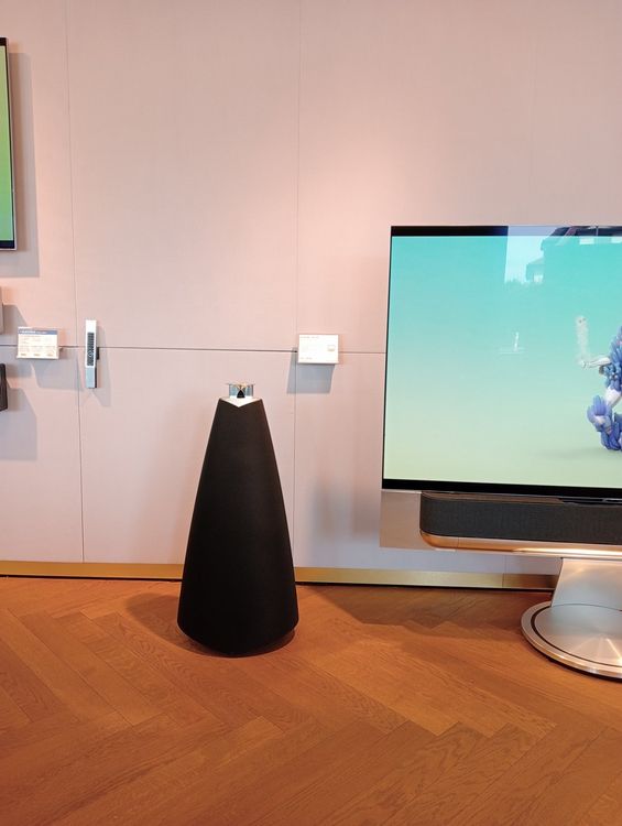 B&O BeoLab 20 MkII schwarz (Paar) | Kaufen auf Ricardo