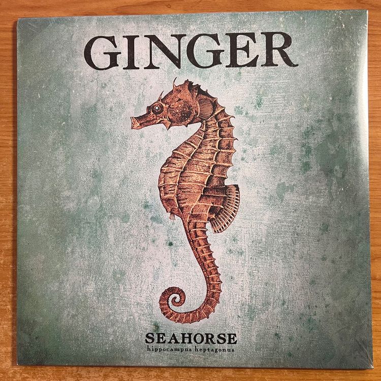 Ginger (CH-Band) - Seahorse / 1. Swiss-Press. 2011 - NEW (Neu und ...