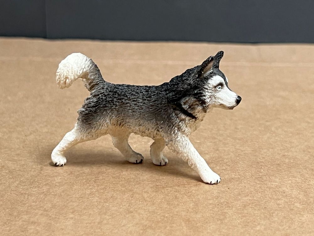 Schleich 16835 Husky Hund (Gebraucht) in Ennetbaden für CHF 13 – mit Lieferung auf Ricardo kaufen