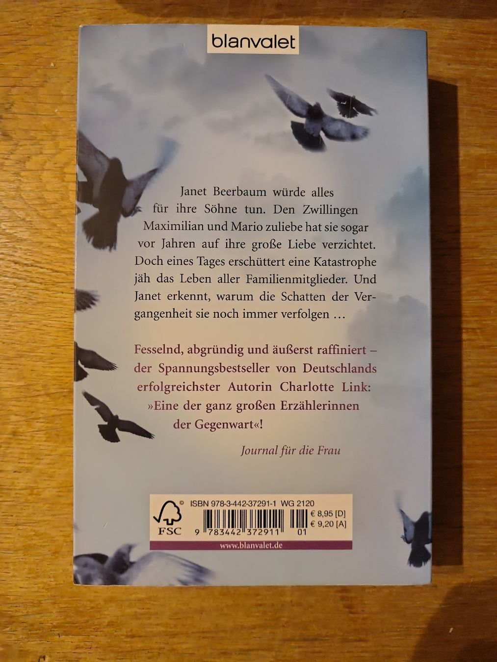 Charlotte Link - Die Sssuende der Engel, spannender Roman (Gebraucht ...