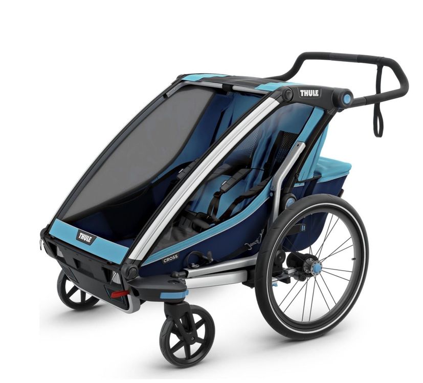 Thule Fahrradanhanger Fur 2 Kinder