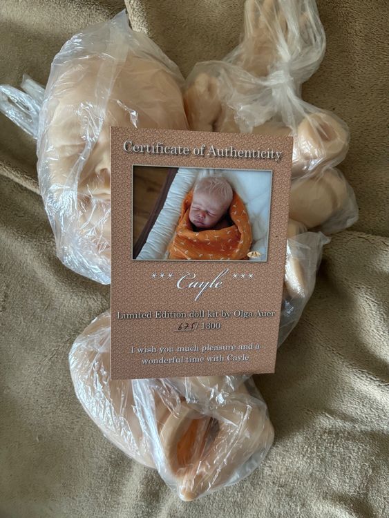 Rebornbaby Cayle (Gebraucht) in St. Gallen für CHF 150 – mit Lieferung ...