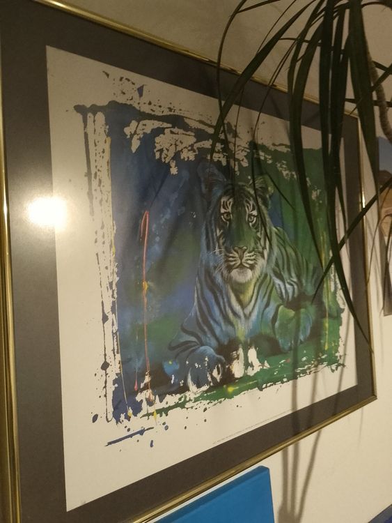 Tiger Rolf Knie (Gebraucht) in Weinfelden für CHF 50 – nur Abholung auf Ricardo kaufen