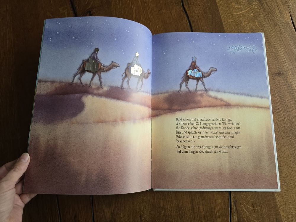 Marcus Pfister: Der Weihnachtsstern, Kinderbuch, (Gebraucht) in ...