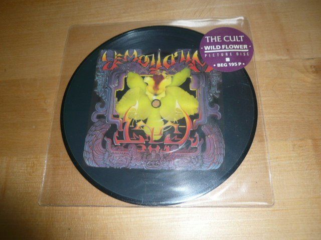 THE CULT Wildflower - PICTURE DISC 1987 (Neu und originalverpackt) in ...