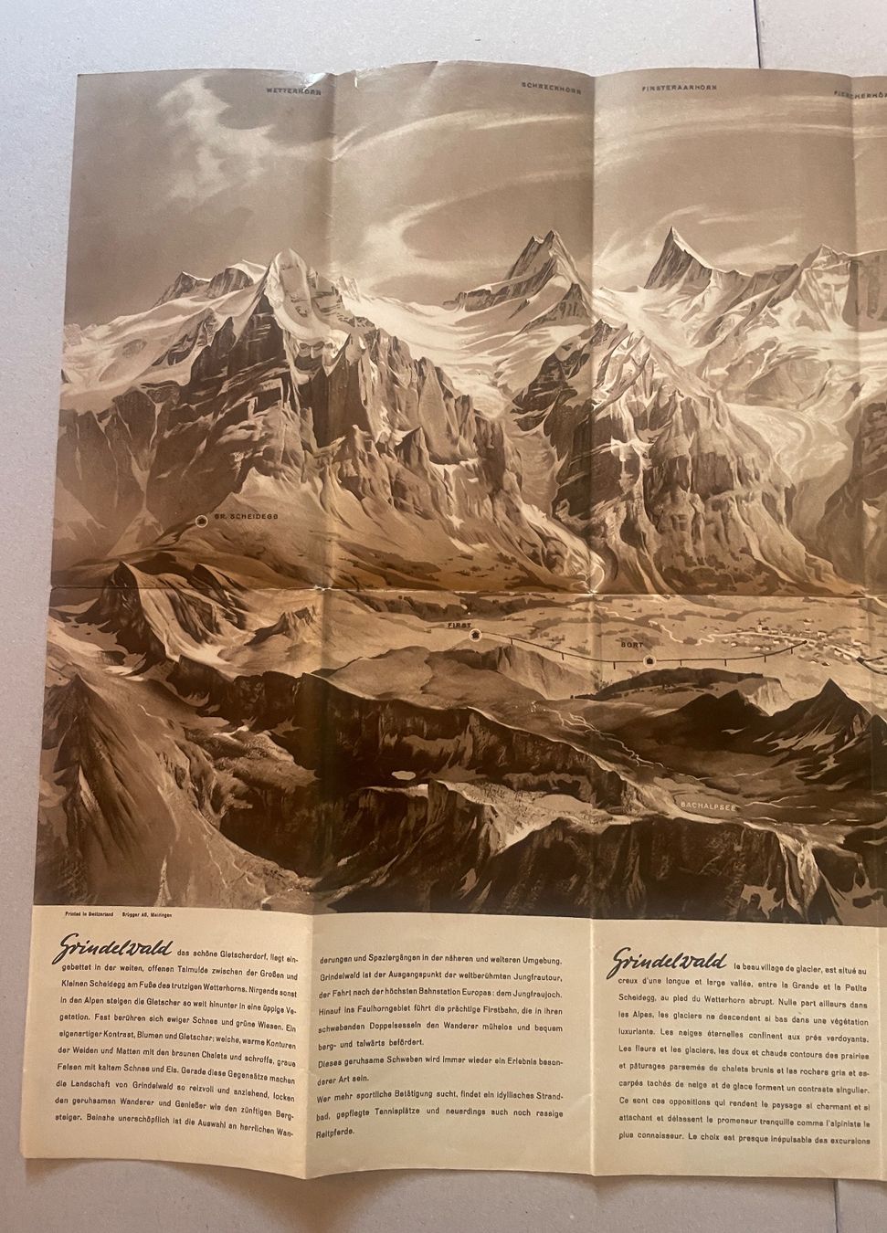 Grand prospectus Grindelwald 1952/ liste de prix des hôtels (Gebraucht ...