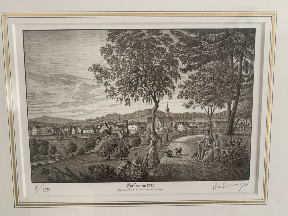 Stich Gossau SG / Stadtbühlpark (Gebraucht) in Zuzwil SG für CHF 50 – nur Abholung auf Ricardo ...