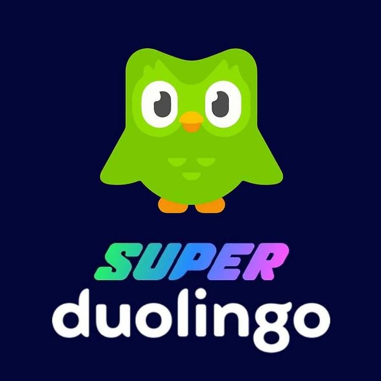 Duolingo Super - 65% günstiger - 12 Monate (Neu (gemäss Beschreibung ...