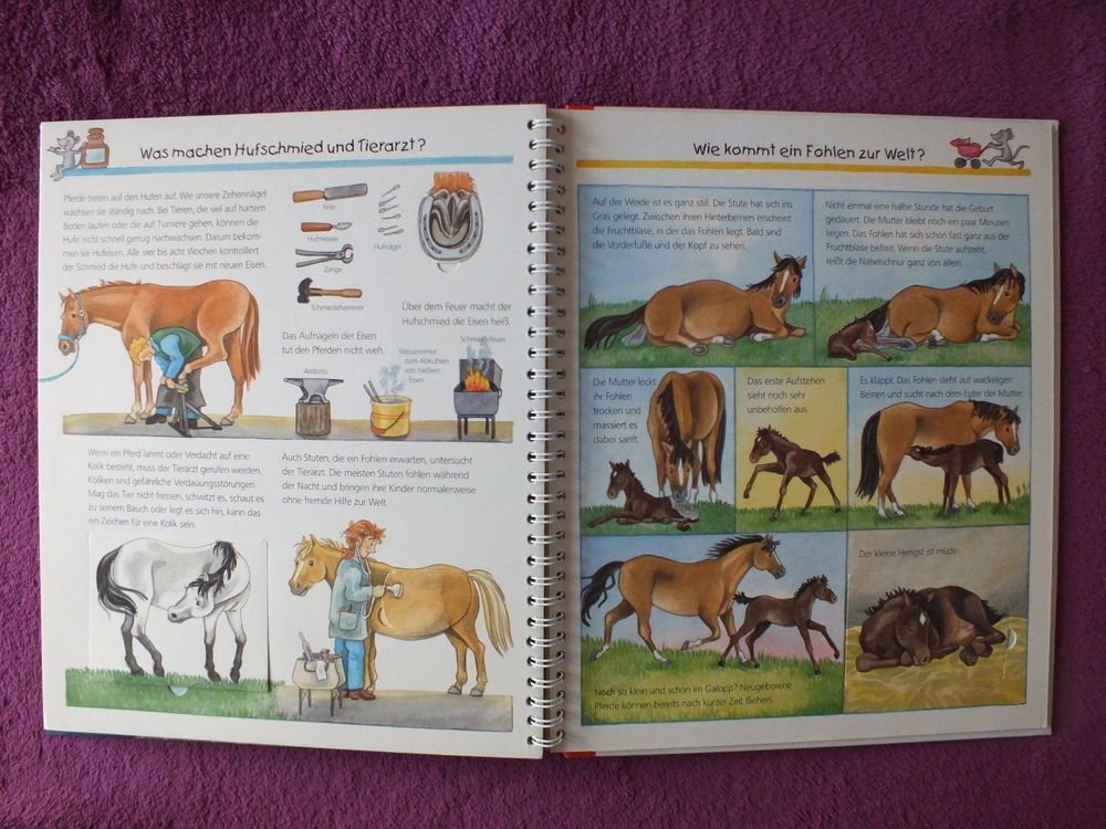 Wieso Weshalb Warum - Alles über Pferde und Ponys (Gebraucht) in ...