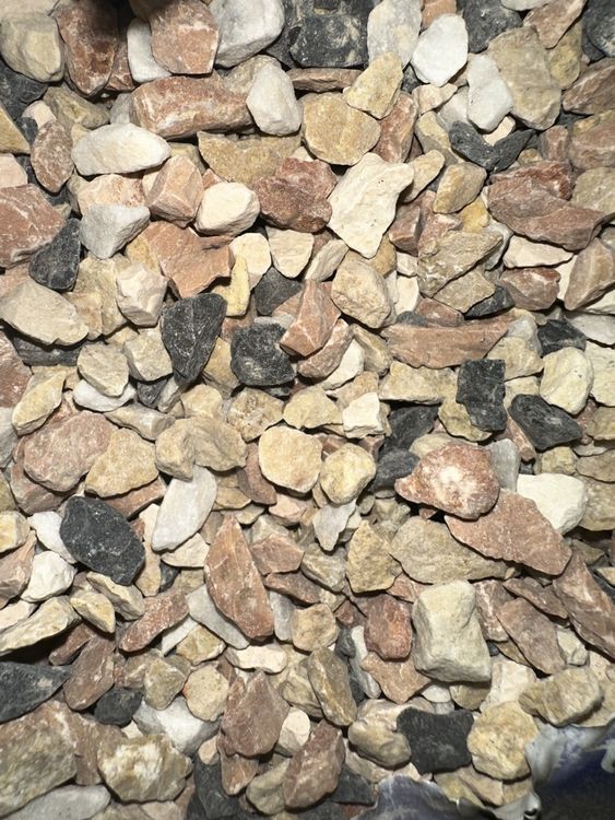 Zierkies, Multicolor, Gartenkies, Teichkies - Neuwertig! (Neu (gemäss ...