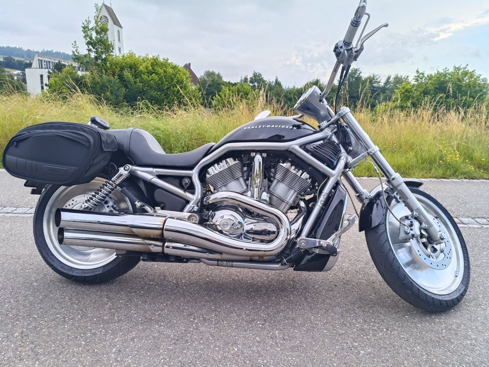 Harley Davidson V Rod Gebraucht Kaufen