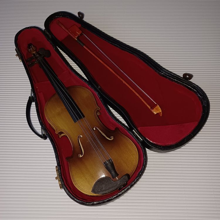 GEIGE mit Geigenkasten. Mini Ausführung. Selten. (Gebraucht) in Zürich ...