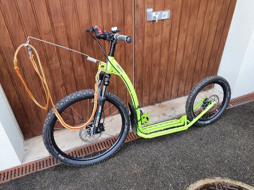 Dog-Scooter / Mushing-Scooter | Kaufen auf Ricardo