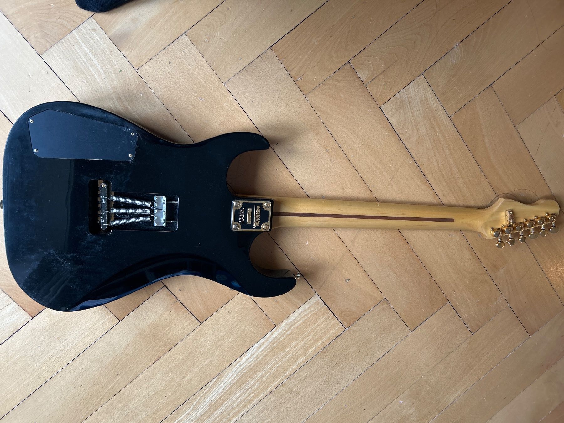 Washburn Steve Stevens Signature E-Gitarre SS40 oder SS80 (Gebraucht ...