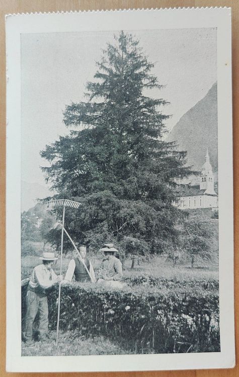Buochs um 1920 (Gebraucht) in St. Erhard für CHF 3.5 – mit Lieferung auf Ricardo kaufen