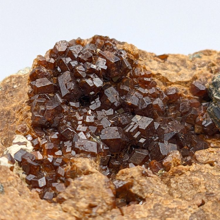 GROSSULAR, Granat ROSSO mit CLINOCHLOR, Italien (Nuovo (secondo la ...