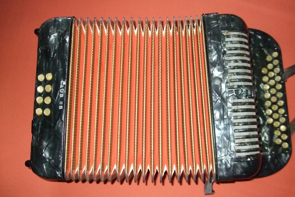 Akkordeon Hohner Club II B | Kaufen auf Ricardo