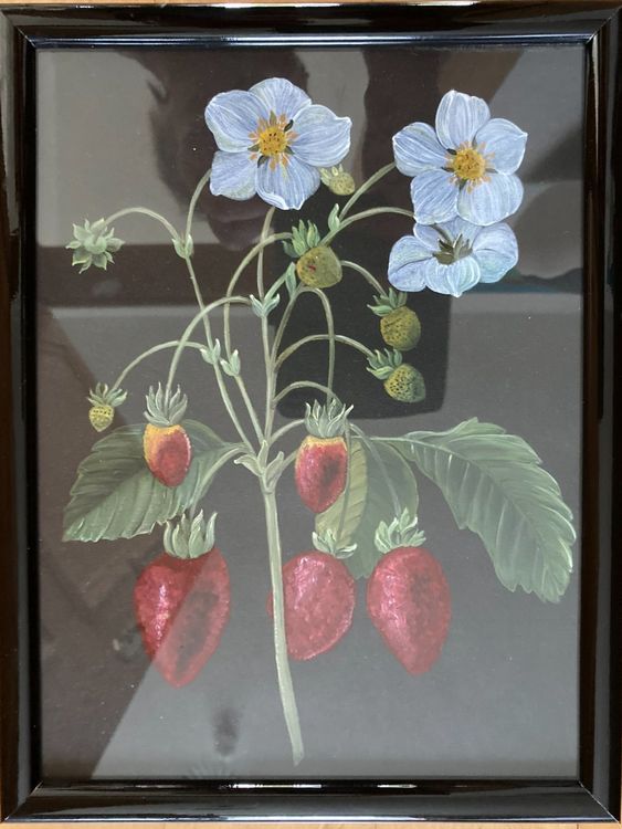 Gemälde Bild Erdbeeren und Blüten gerahmt hinter Glas | Kaufen auf Ricardo