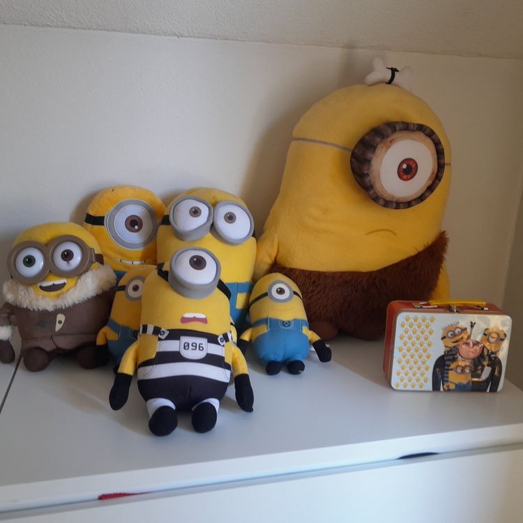 MINION`S LOT suchen neues ZUHAUSE (Gebraucht) in Wetzikon ZH für CHF 10 ...