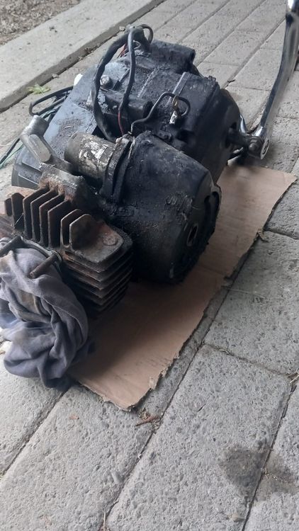 Tomos Motor (Defekt) in für CHF 174 – nur Abholung auf Ricardo kaufen