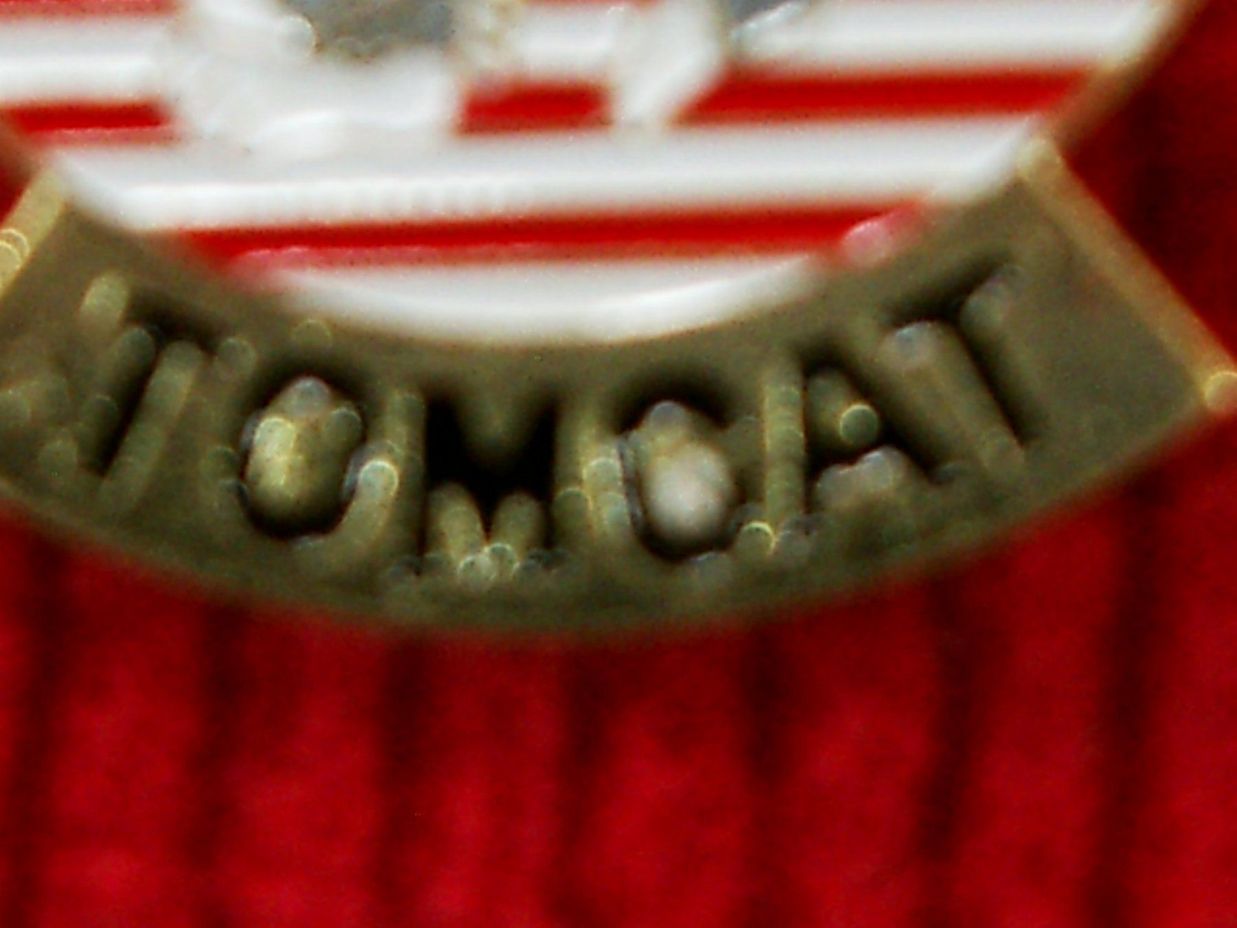 Pin der F14 Tomcat - Staffel der US Navy (Top Gun) (Gebraucht) in ...