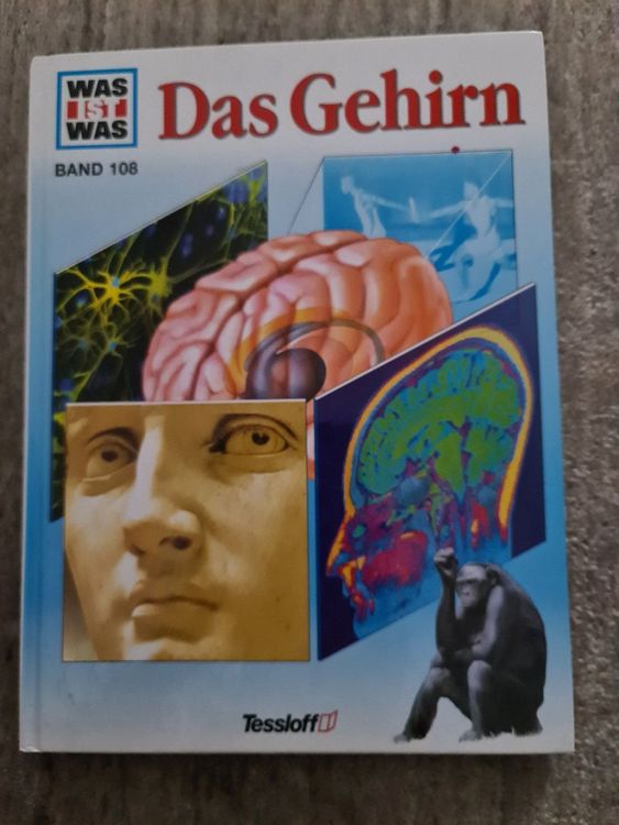 Was ist was buch das gehirn (Gebraucht) in für CHF 8 – mit Lieferung ...