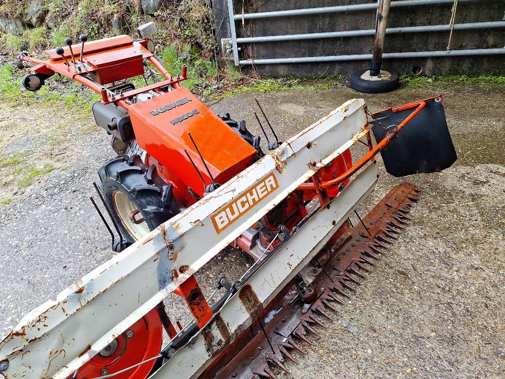 Motormäher Bucher mit Bandeingraser (Gebraucht) in Eptingen für CHF ...