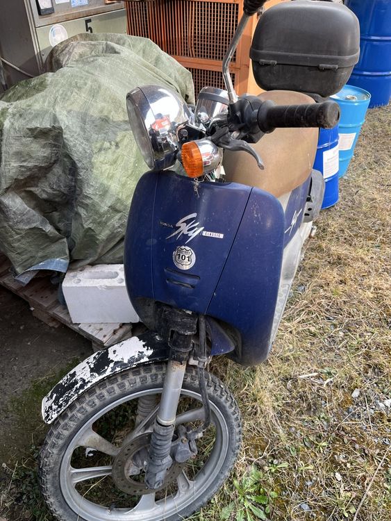 Honda sky 50 classic Roller | Kaufen auf Ricardo