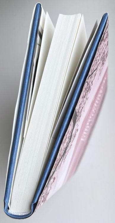 Liebi chasch nid choufe – Margrith Gimmel – Gebunden wie neu (Neu ...