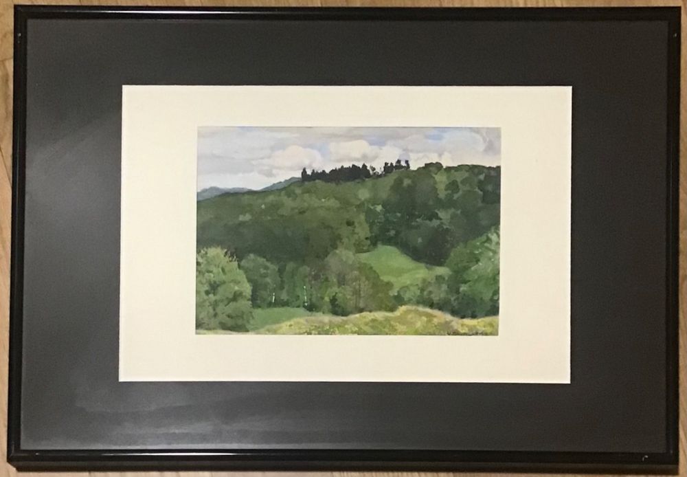 Victor BAUMGARTNER (1870-1948) Landschaft Aquarell (Gebraucht) in Root für CHF 30 – mit ...