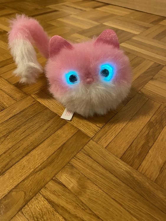 Pomsies Katze Plüschtier (Gebraucht) in Corsier-sur-Vevey für CHF 5 ...