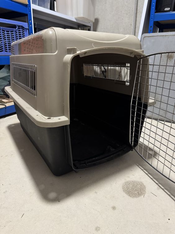 Grosse, gebrauchte Hundetransportbox für Auto/Reisen! (Gebraucht) in Galmiz für CHF 20 – nur ...